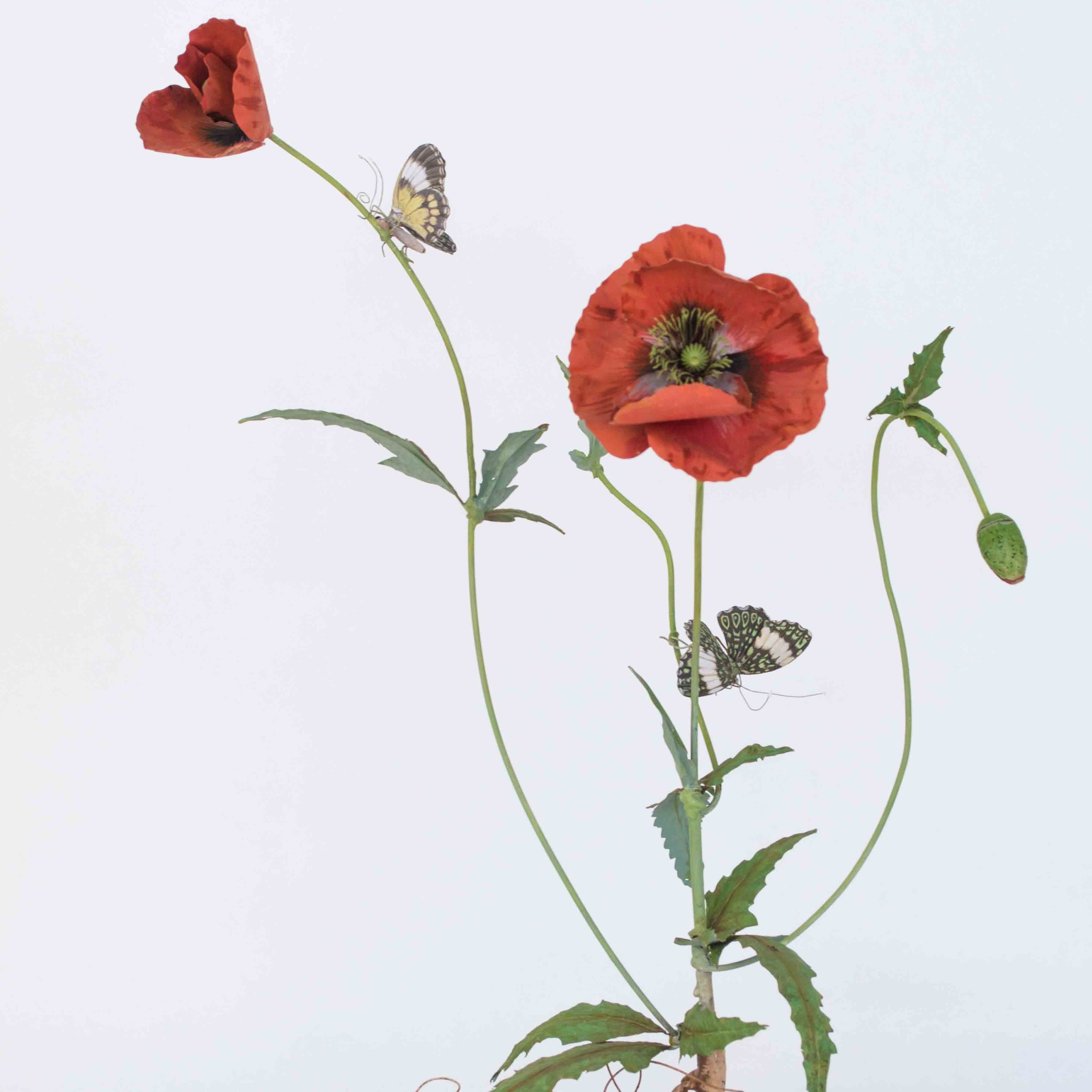 Carmen Almon - Artists - Octavia Art Gallery