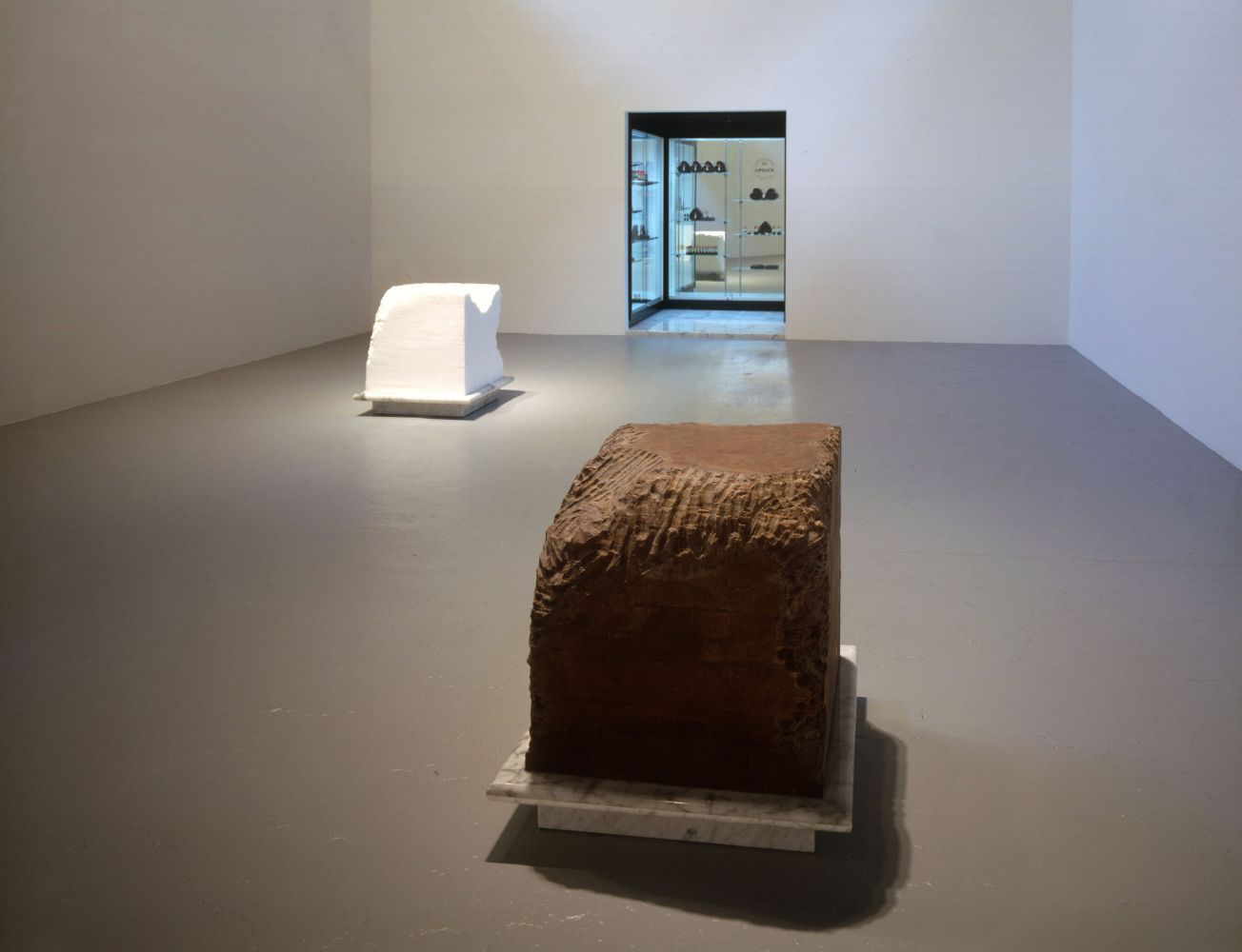 Janine Antoni - Artists - Luhring Augustine