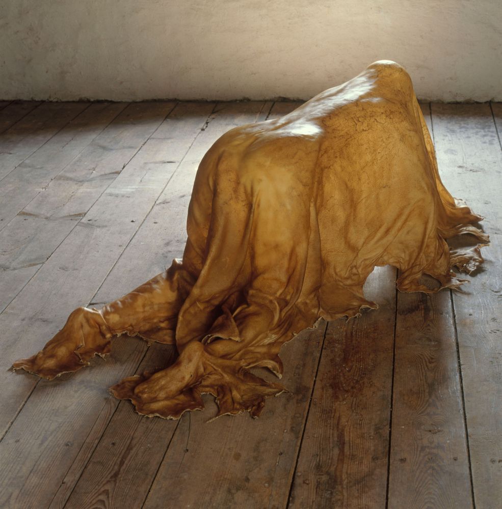 Janine Antoni - Artists - Luhring Augustine