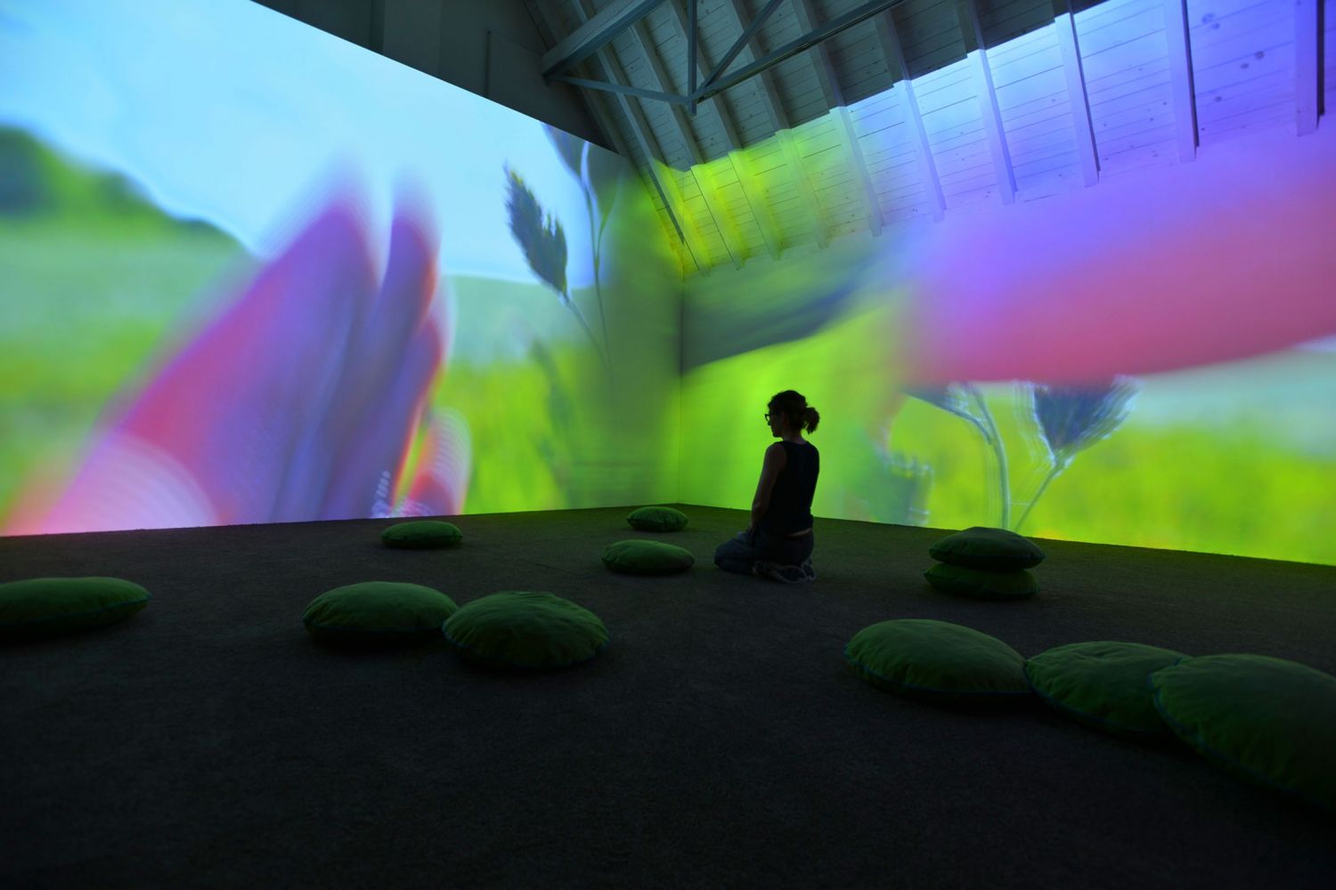 Pipilotti Rist - Artists - Luhring Augustine