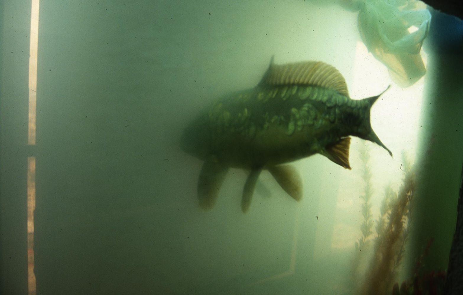 miguel calderón - Artists - Kurimanzutto