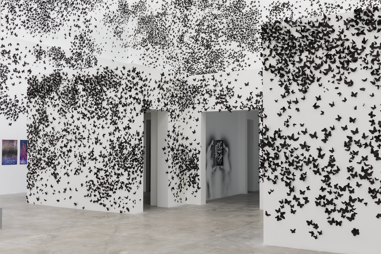 carlos amorales - Artists - Kurimanzutto