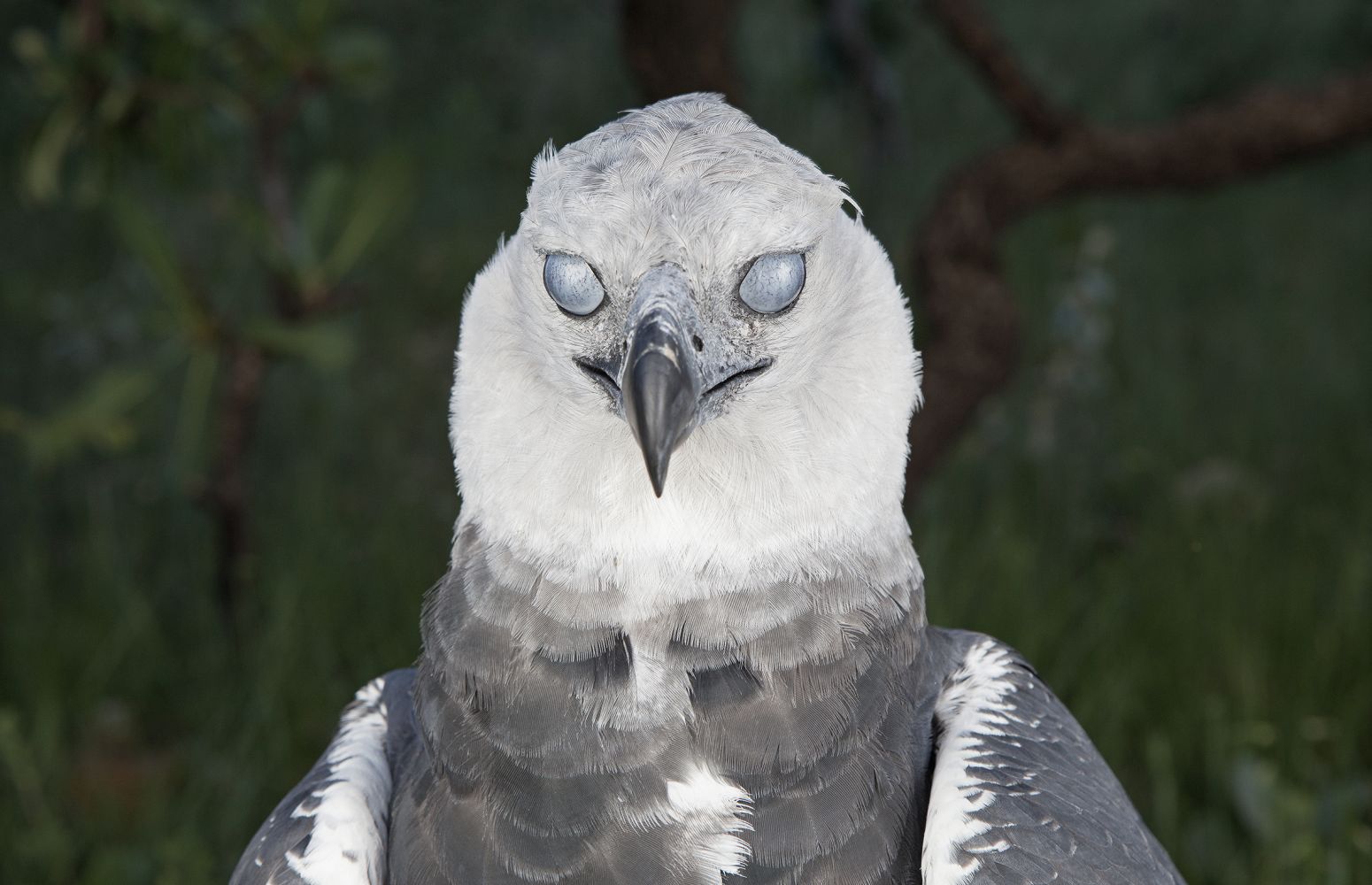 miguel calderón - Artists - Kurimanzutto