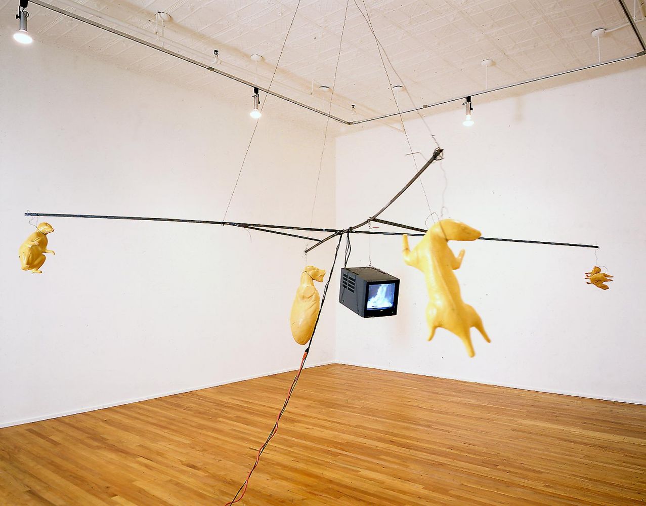 Bruce Nauman - Artists - Sperone Westwater