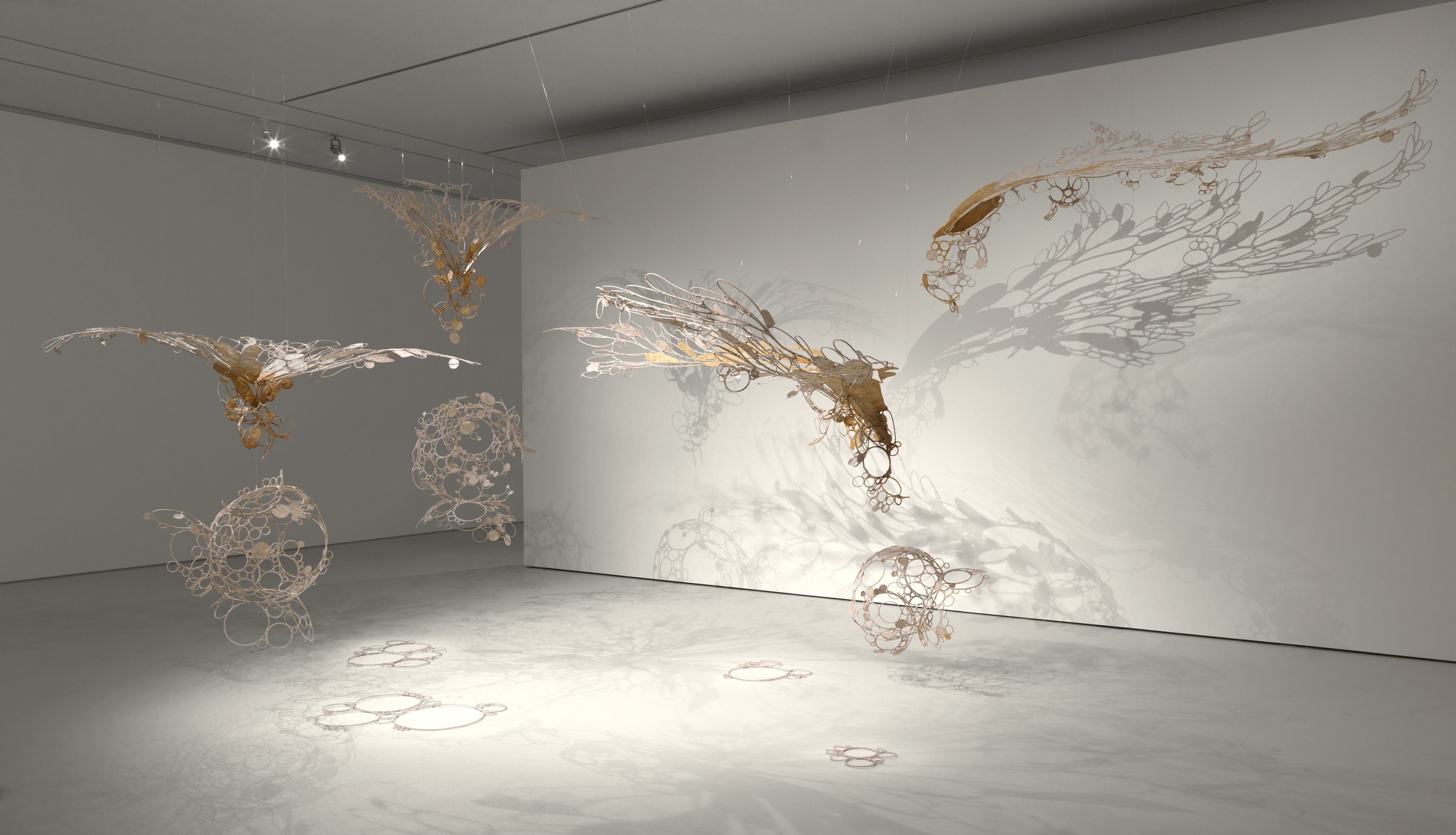 Ranjani Shettar - Artists - Talwar Gallery