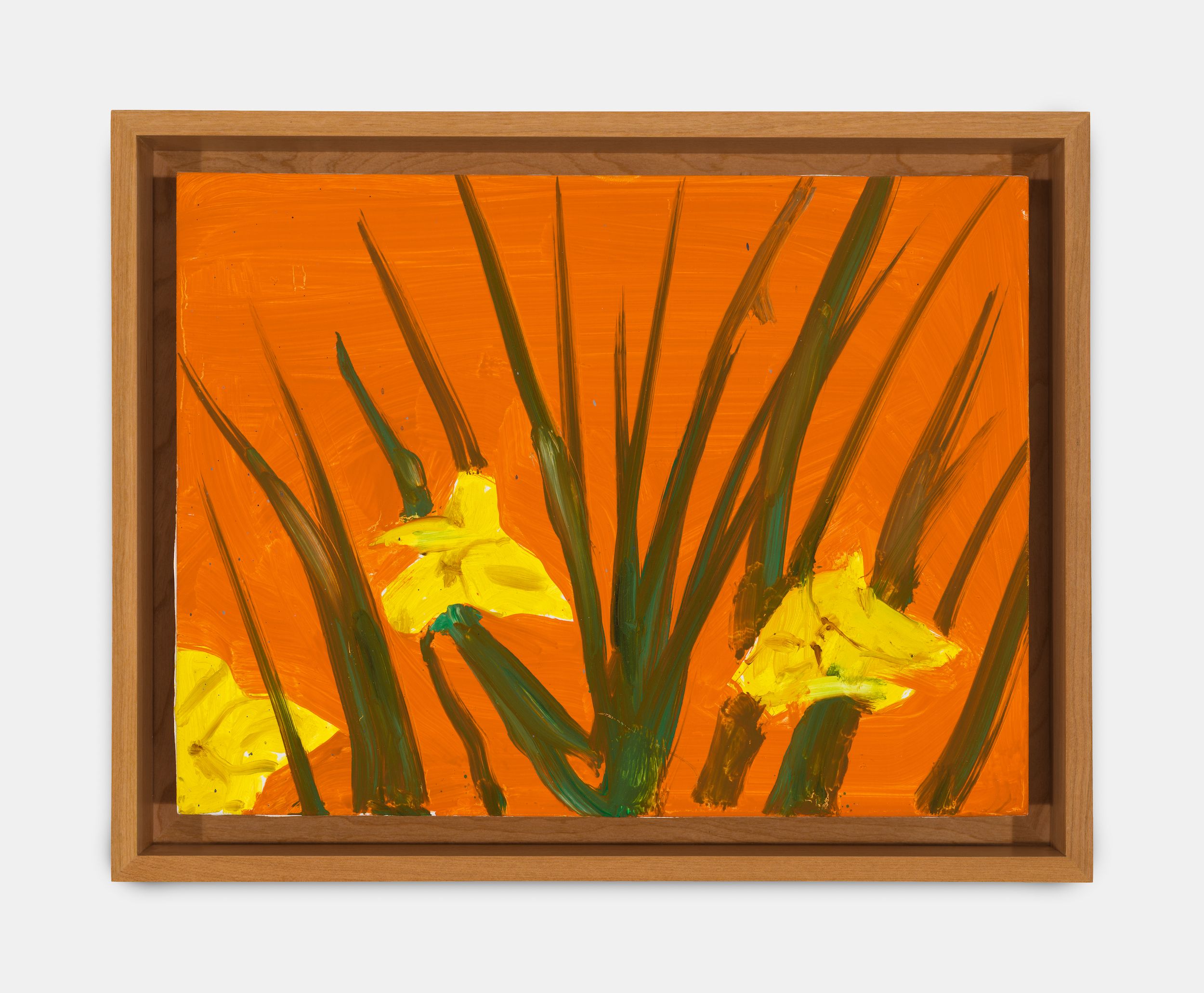 Alex Katz - Flowers - Exhibitions - Richard Gray Gallery