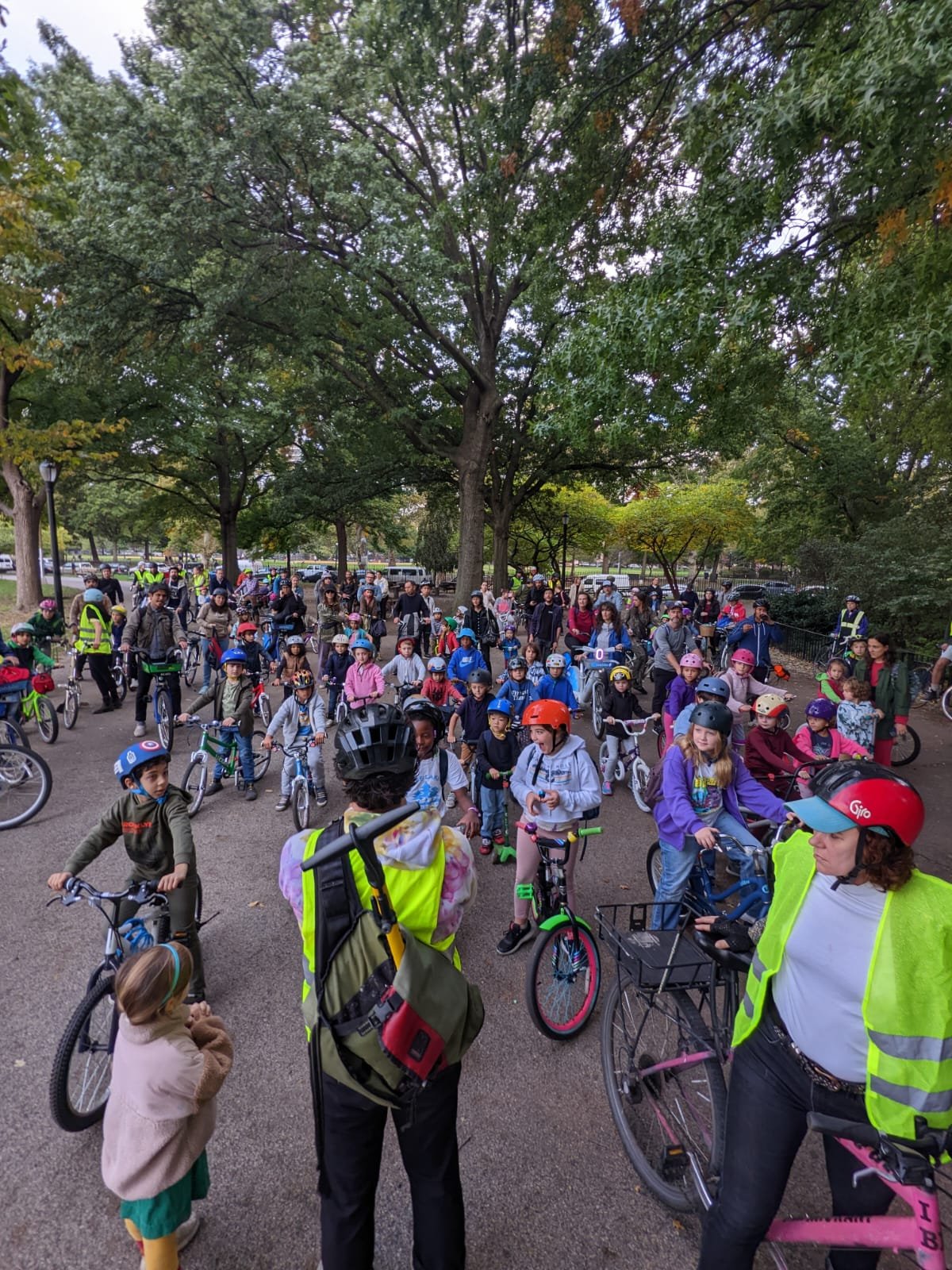 Pedaling Together: Exploring Bike Buses as Safe, Sustainable, and ...