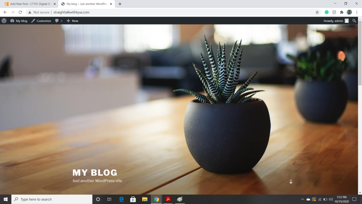 Creating my Website – CT101 Digital Storytelling