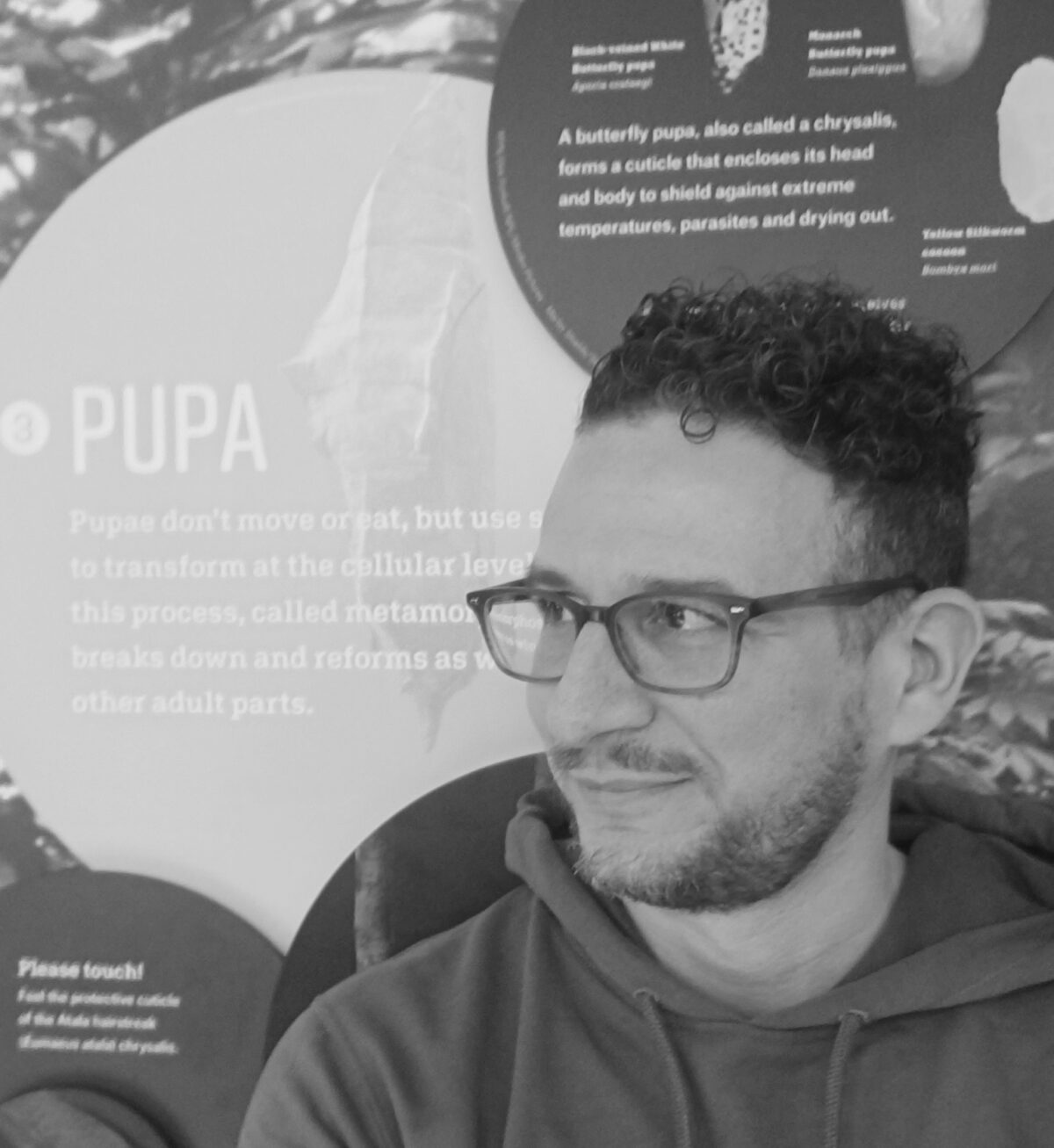 New Visiting Scholar: Francesco Pupa – Saul Kripke Center