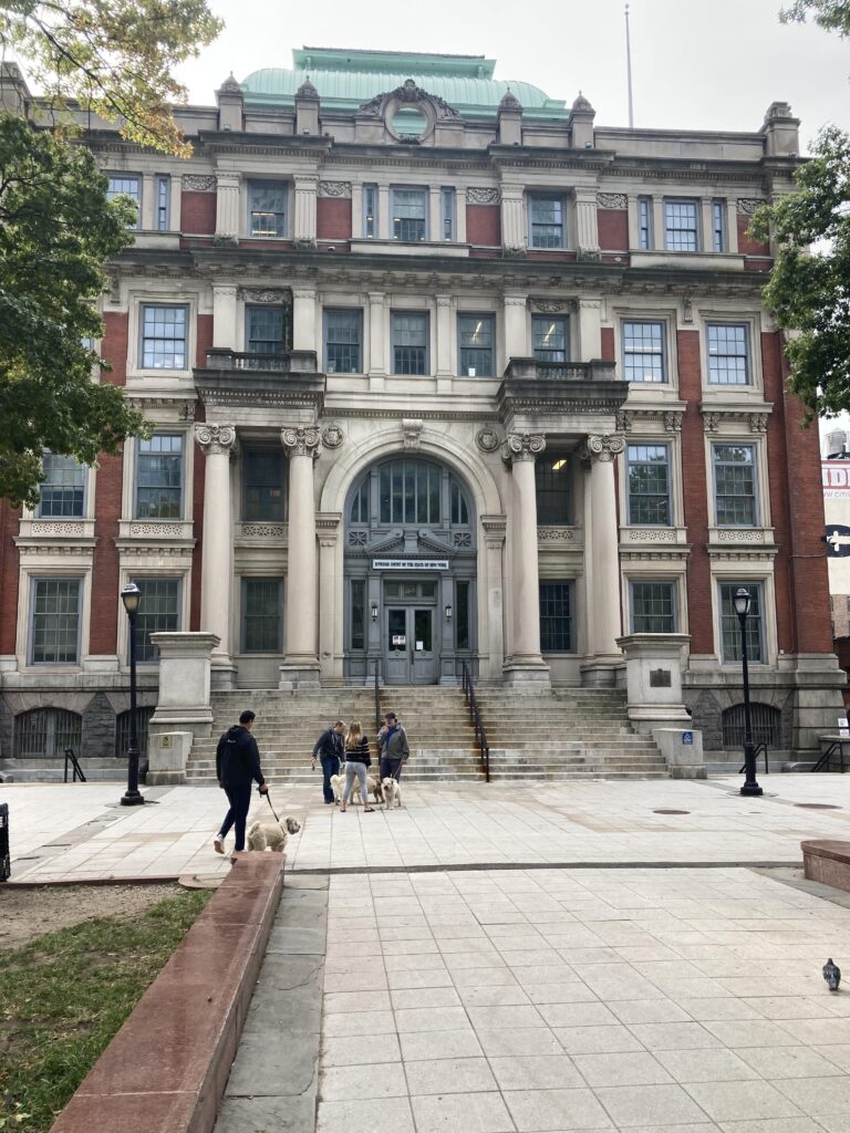 Prof. Lynn Lu, Lawyering Seminar Fall 2022: Student Reflections on ...