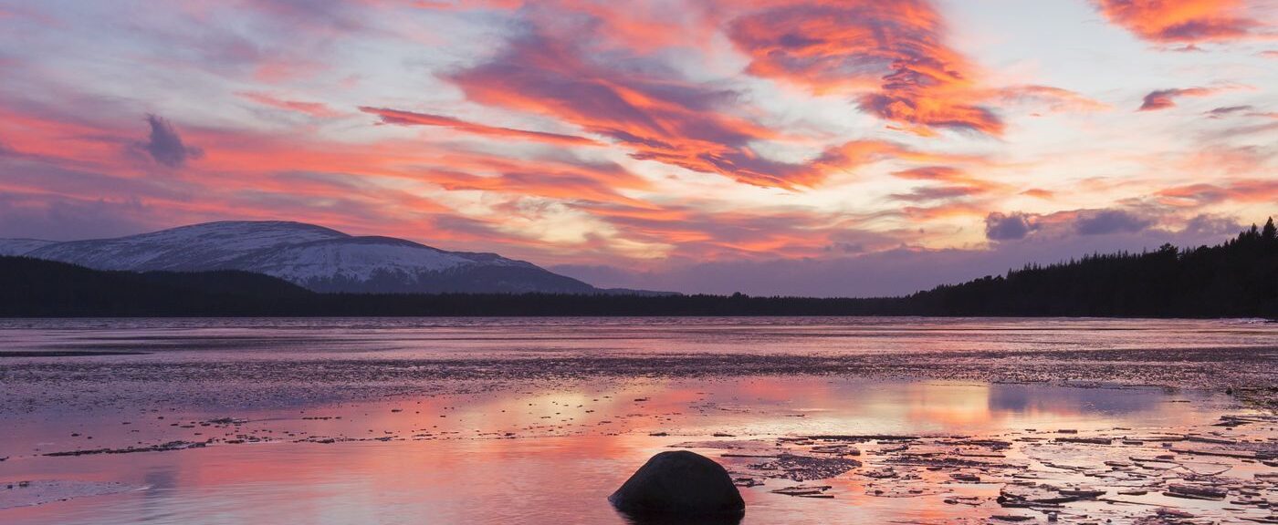 SBE | Bayane's writing portfolio