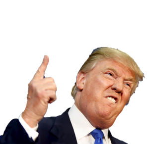 (WLLN) Essay – Joel Perez Portfolio