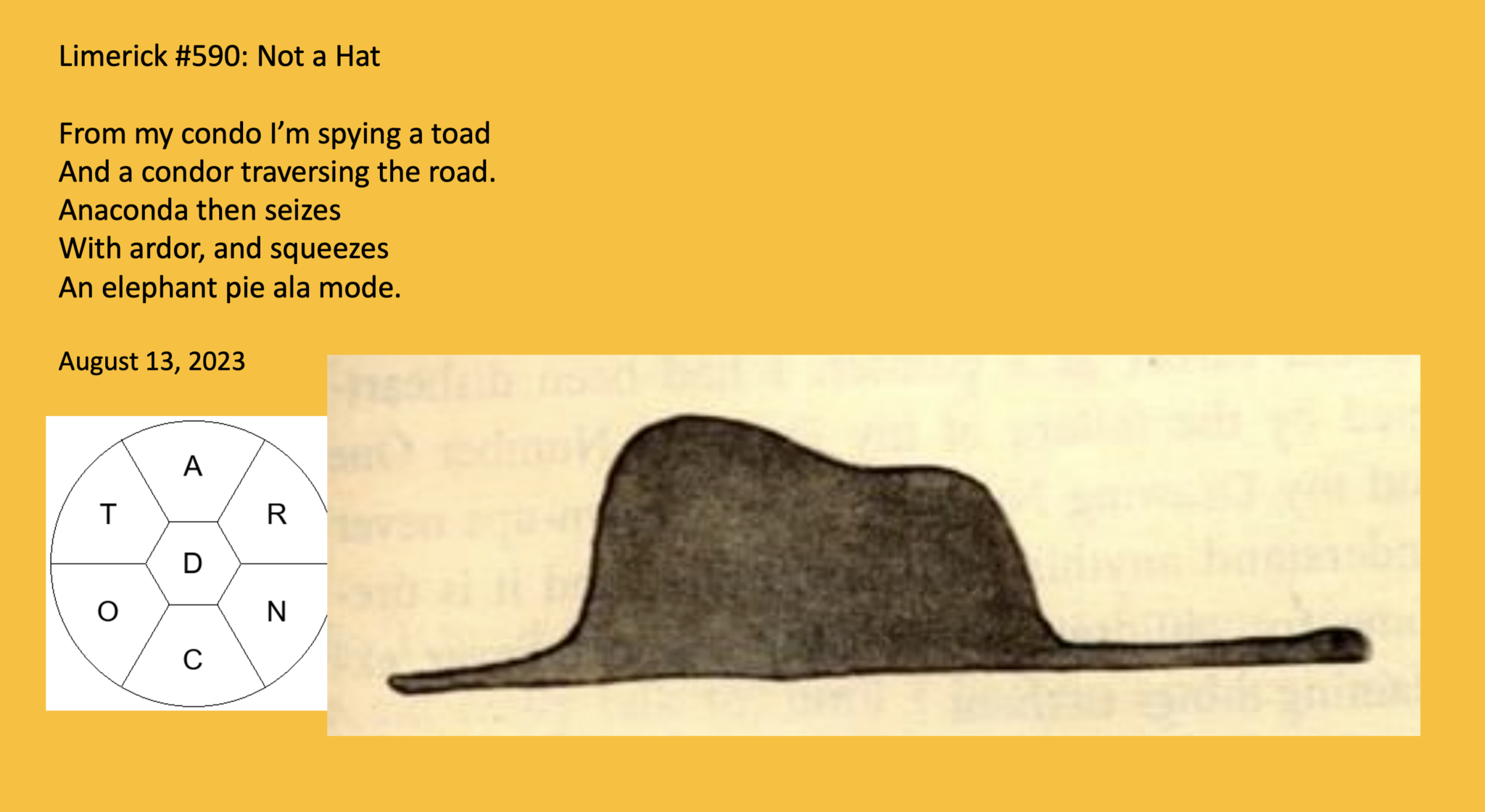 Spelling Bee Limericks