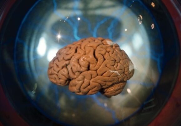 Washington Post Report: “Majority of Smithsonian’s Collection of Human ...