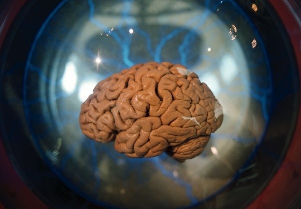 Washington Post Report: “Majority of Smithsonian’s Collection of Human ...