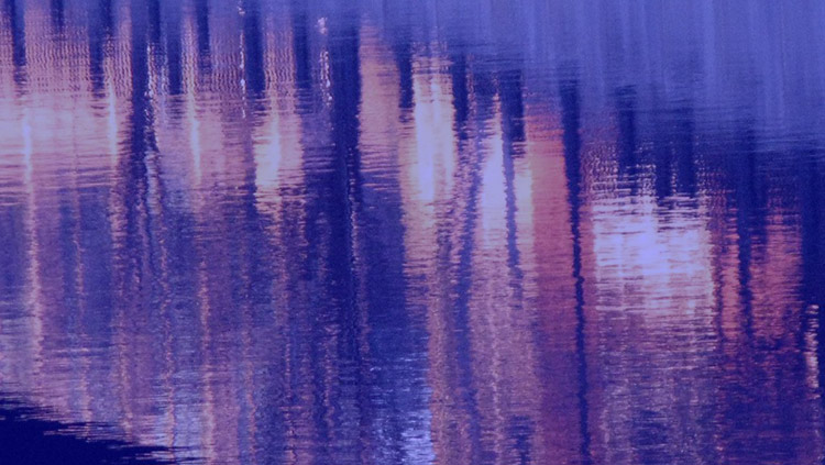 It Wasn’t Just a Pandemic: Conversations and Reflections Overview ...