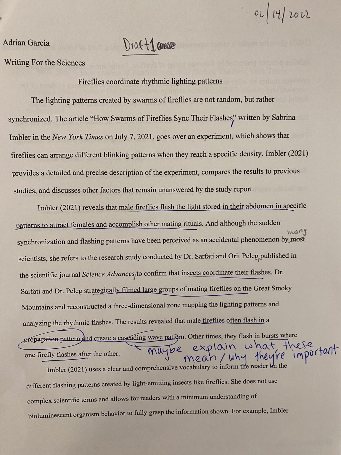 NY Times Summary/Evaluation 1st Draft – Portfolio and Self-Assesment