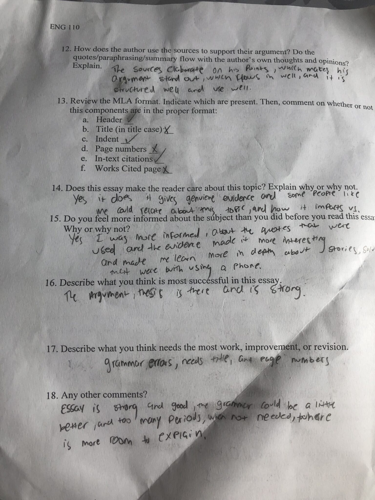 Critical Analysis – Nery Zelaya