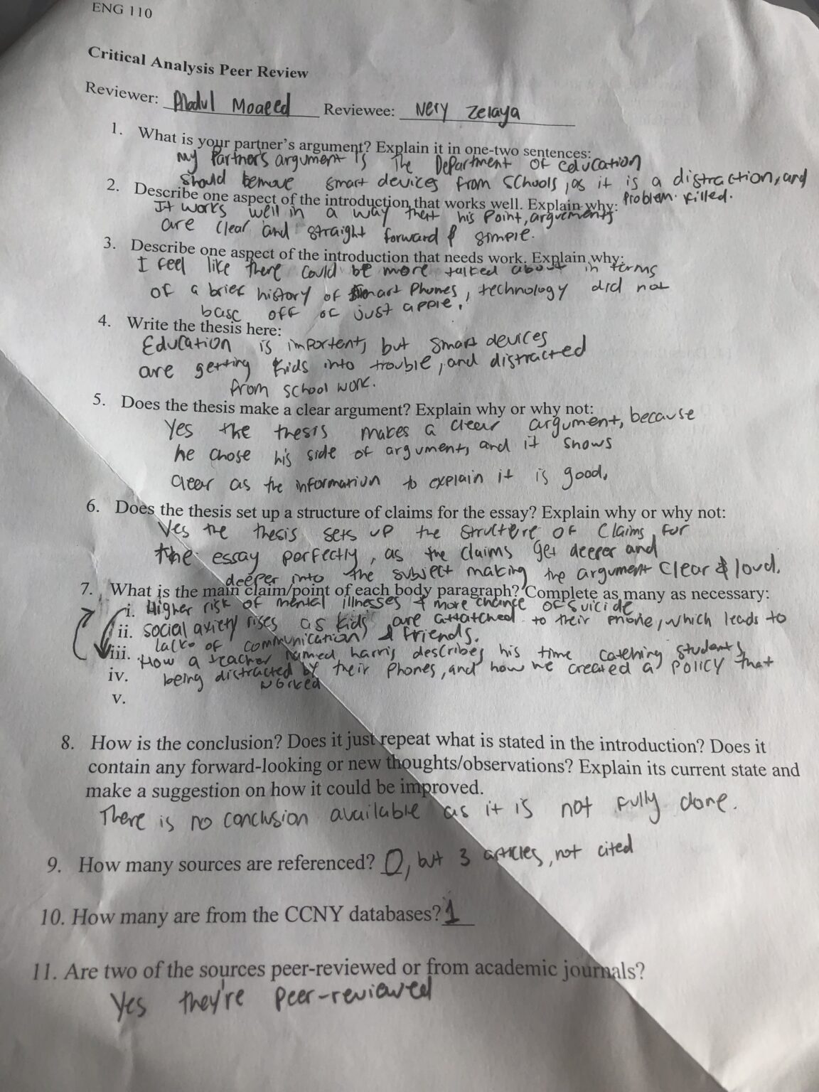 Critical Analysis – Nery Zelaya