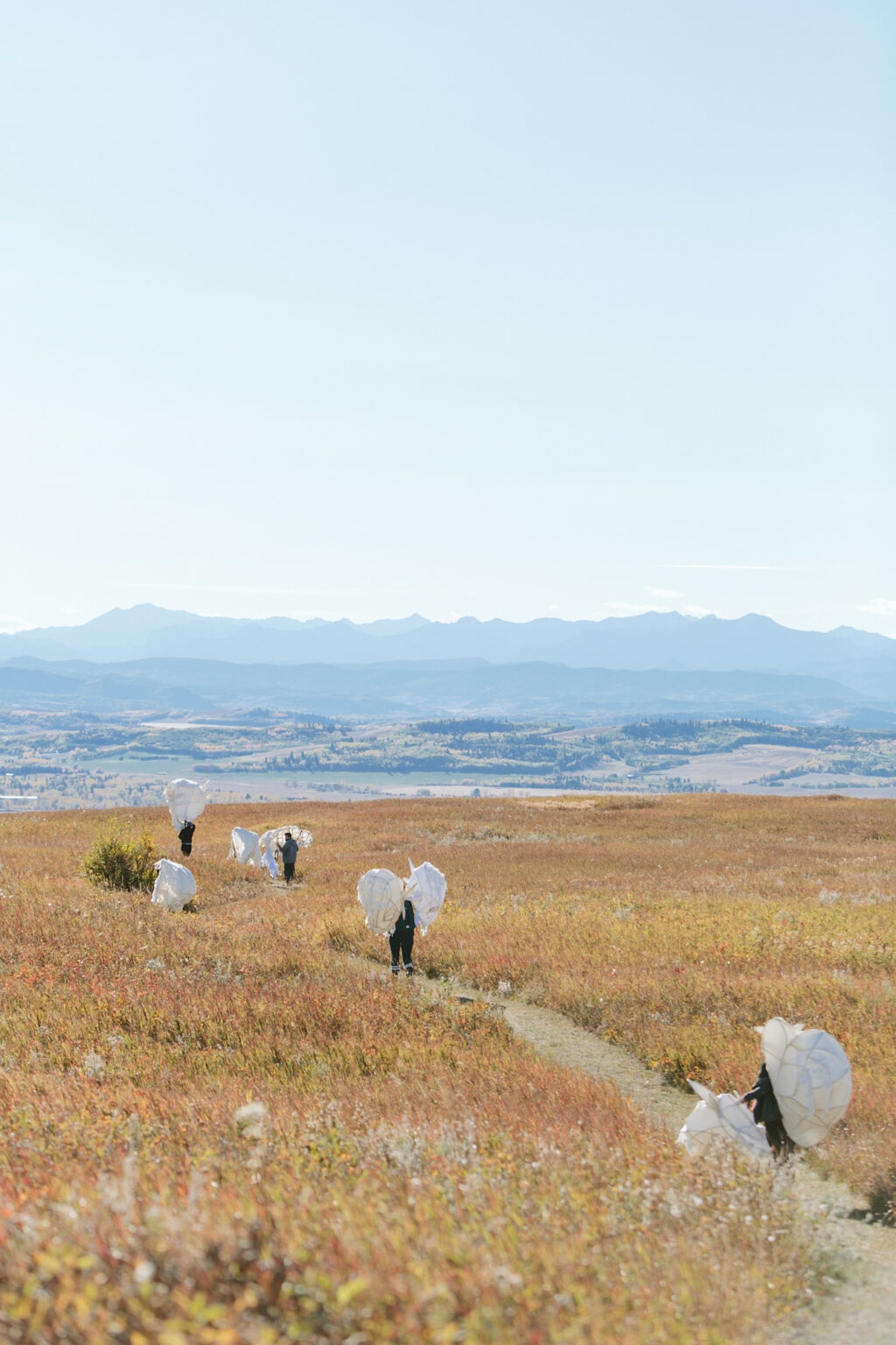 Interview: Return of the Buffalo Celebration: A Cross-Cultural Puppet ...