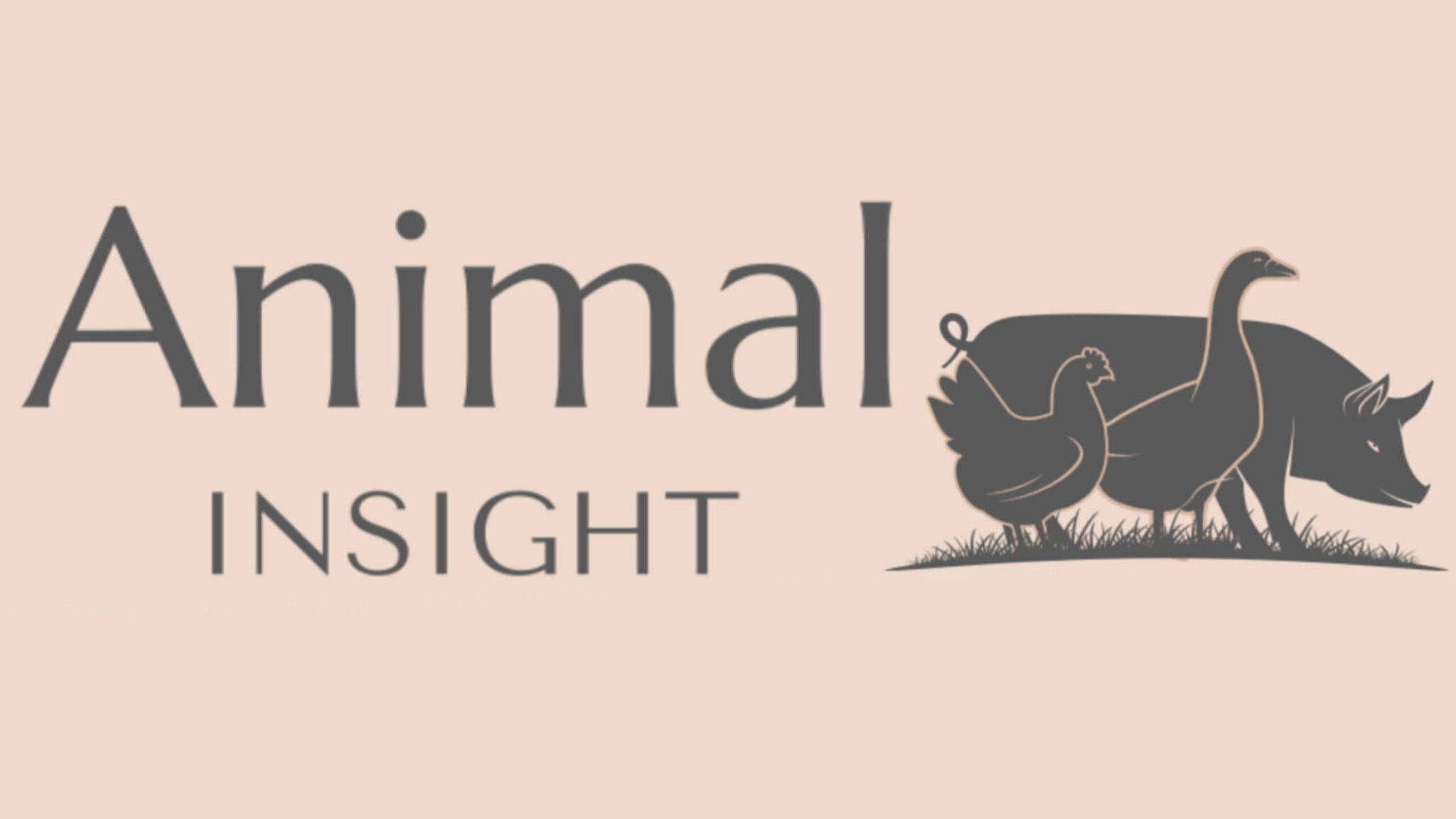 Into Benji’s World – Animal Insight