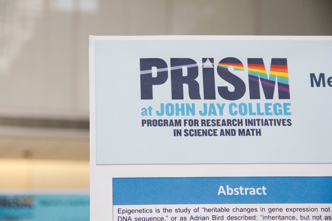 Fostering Success in STEM - Dr. Edgardo Sanabria-Valentín – John Jay ...