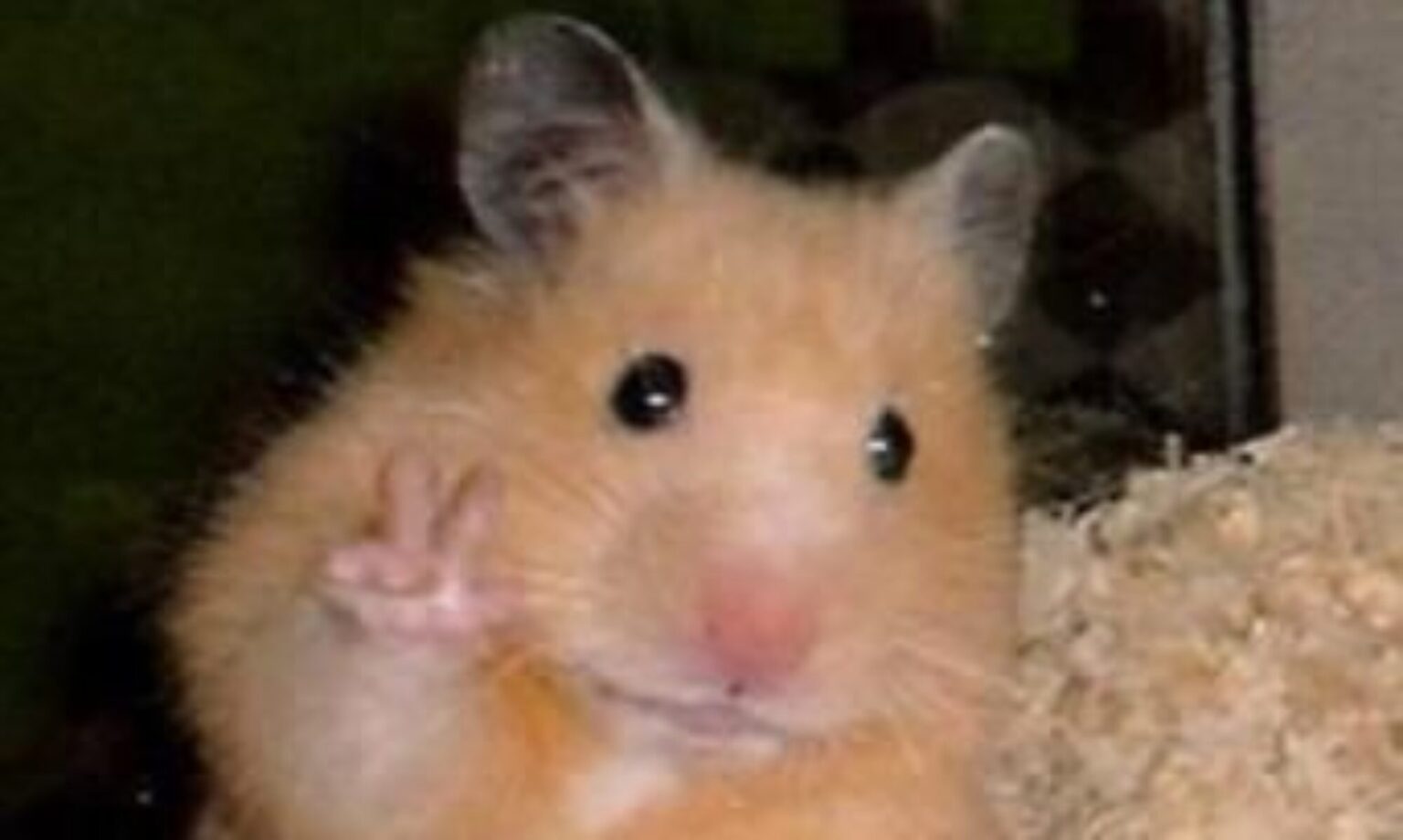 Presentation – Writing For Engineering Portfolio