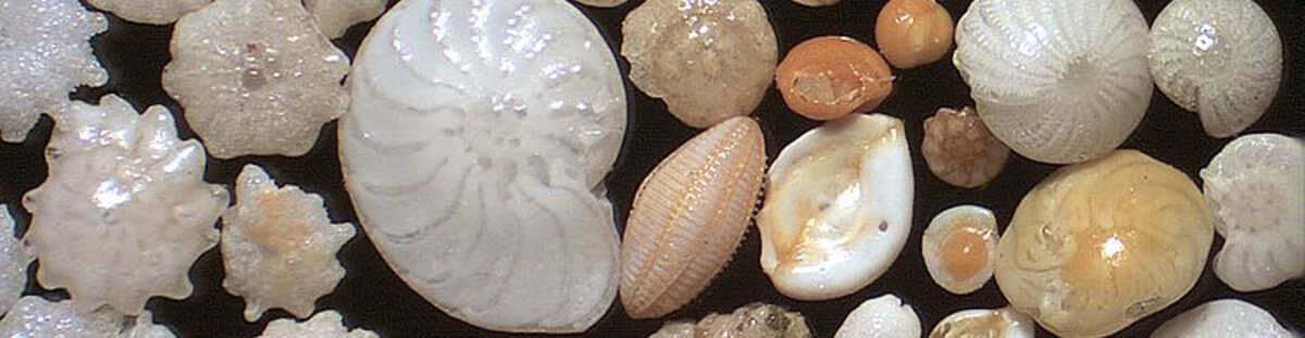 Unit 1: Introduction and Basic Skills | EESC 1080: Climate Change Past ...