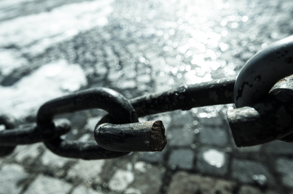 Steal This Textbook: The Virtues of Open-Source Educational Materials ...