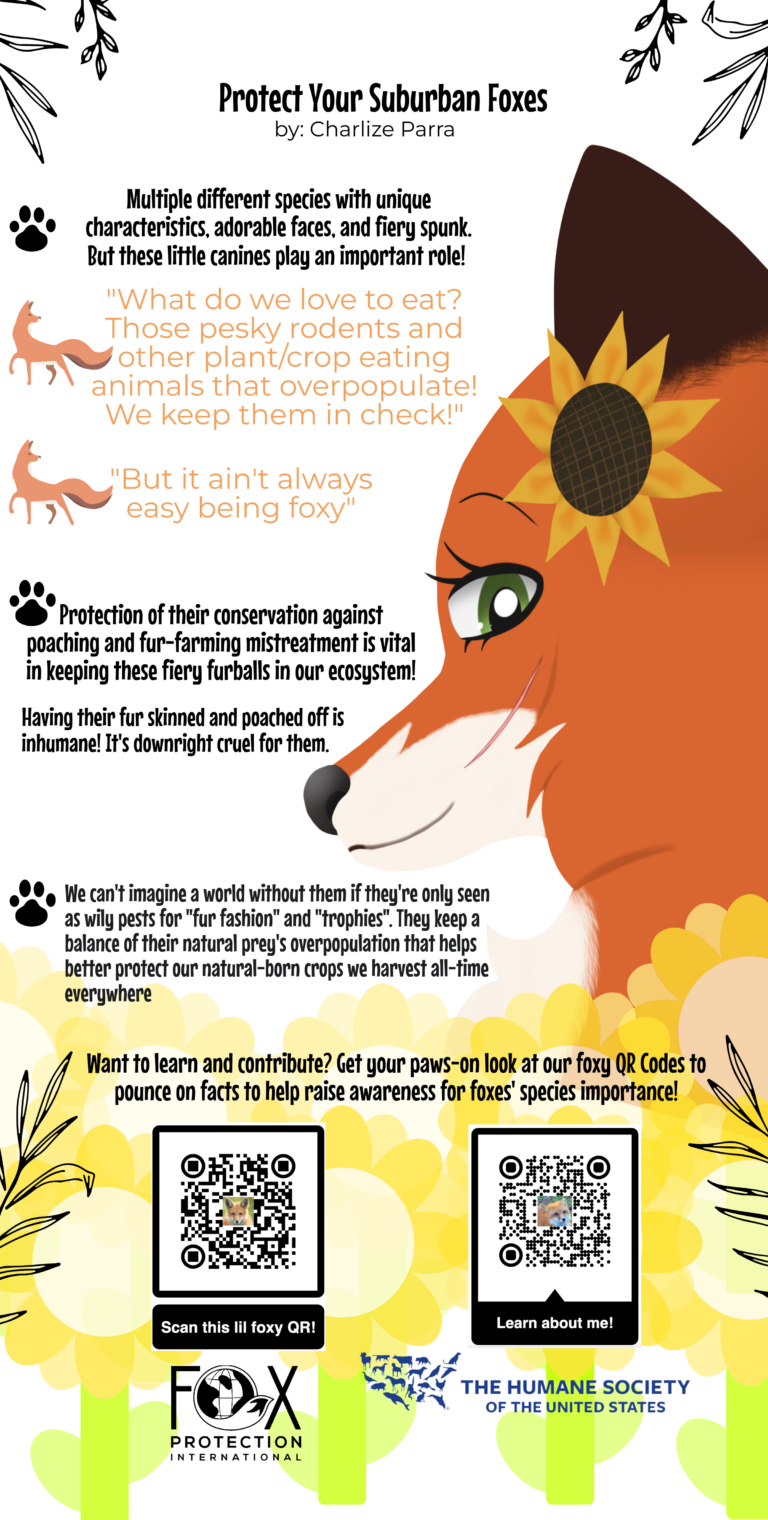 Poster Project – Charlize’s ENGL201W Blog