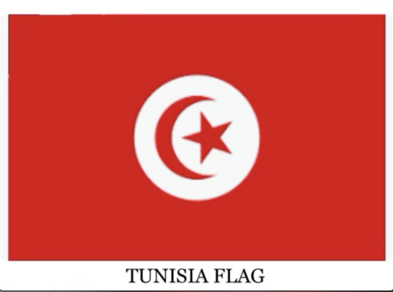 Tunisian Arabic – Sociology of Language