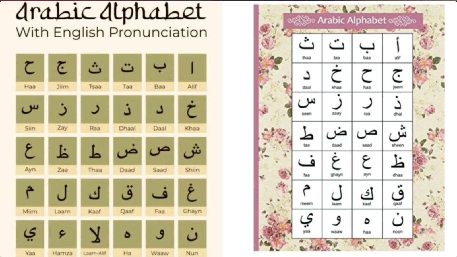 Standard Arabic – Sociology of Language