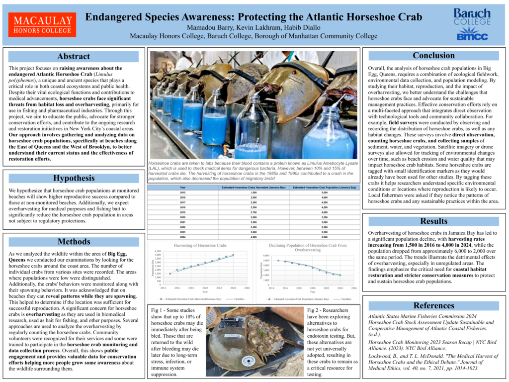 Endangered Species Awareness: Protecting the Atlantic Horseshoe Crab – STEAM Fest 2024