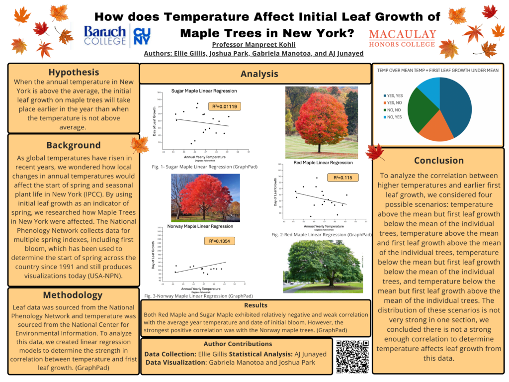 How does Temperature Affect Initial Leaf Growth of Maple Trees in New ...