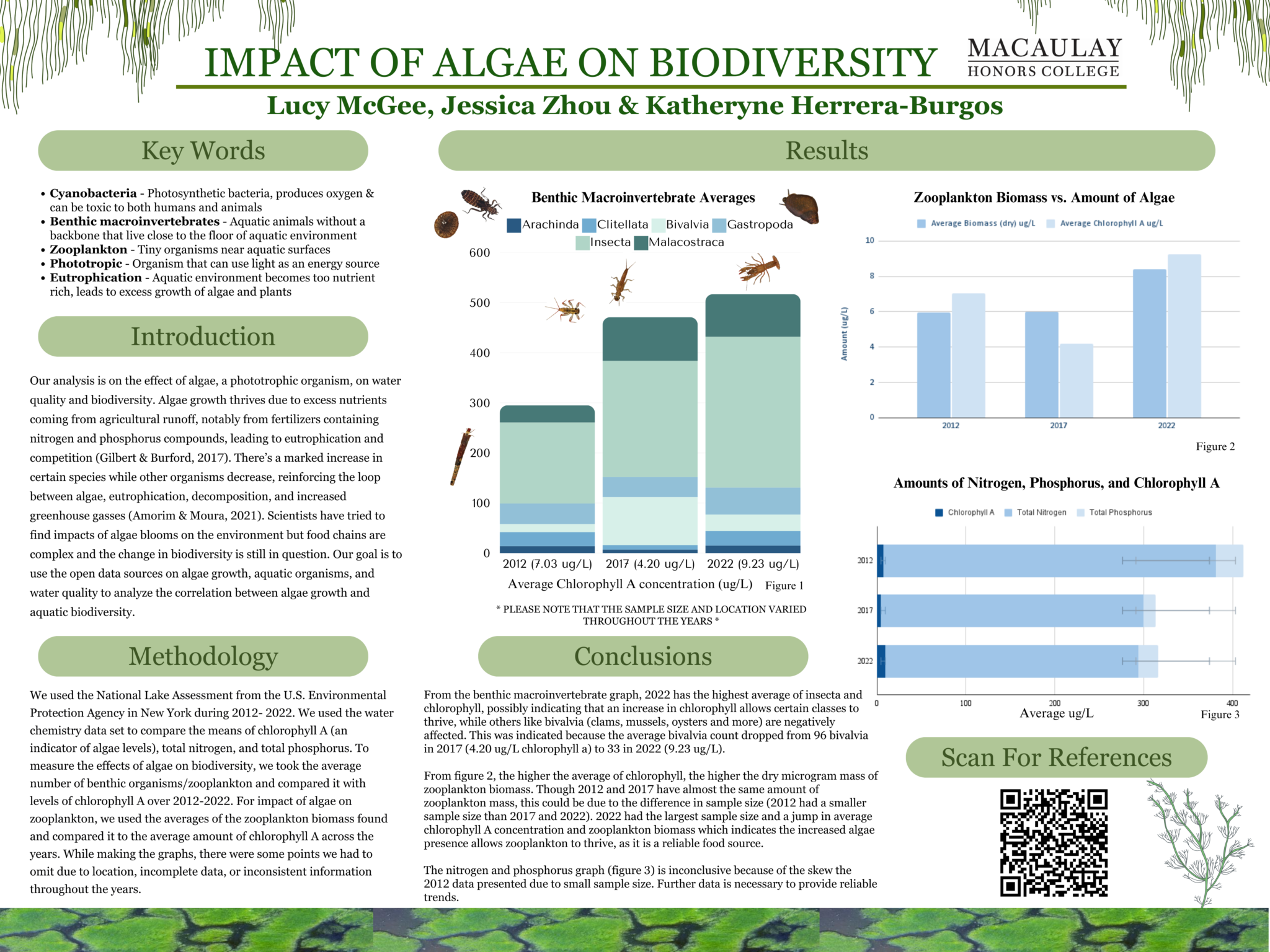 Impact of Algae on Biodiversity – STEAM Fest 2024