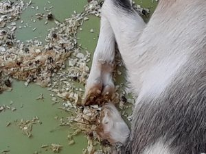 Moscow – misc (3) | Moscow, Russia 2018