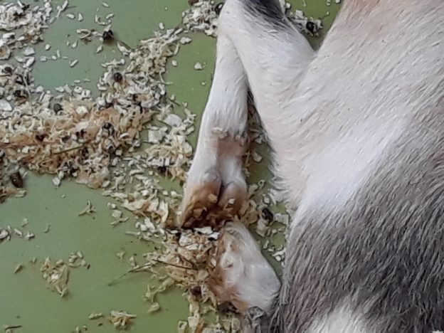 Moscow – misc (3) | Moscow, Russia 2018