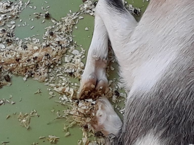 Moscow – misc (3) | Moscow, Russia 2018