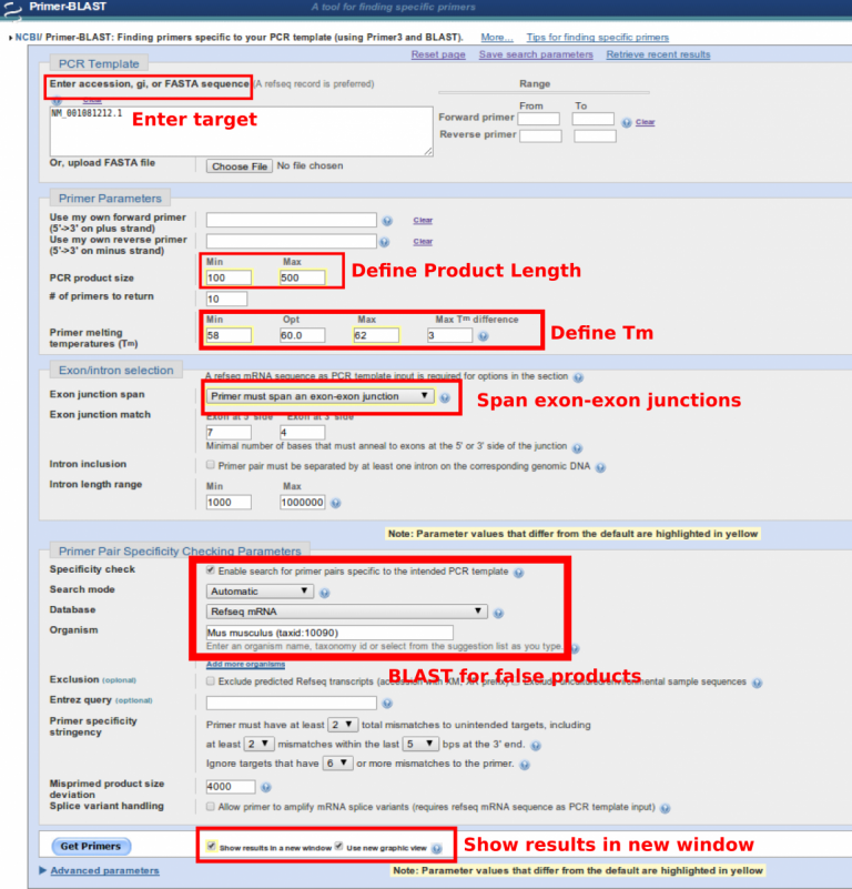 Primer-BLAST | A General Biology and Molecular & Cell Biology Resource