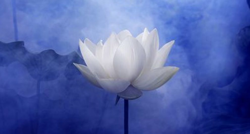 Introduction – The Path to Disbelief: Atheism