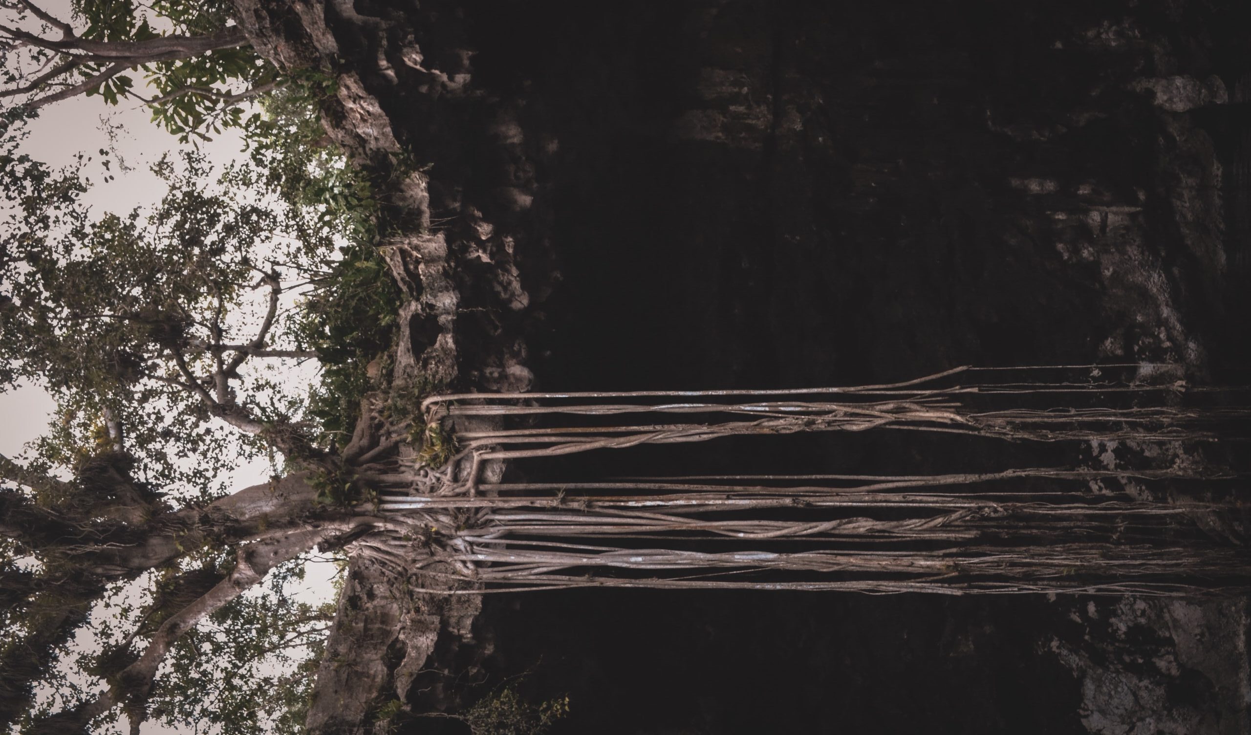 Do Your Paragraphs and Sections Build Toward an Argument? The Uneven U ...