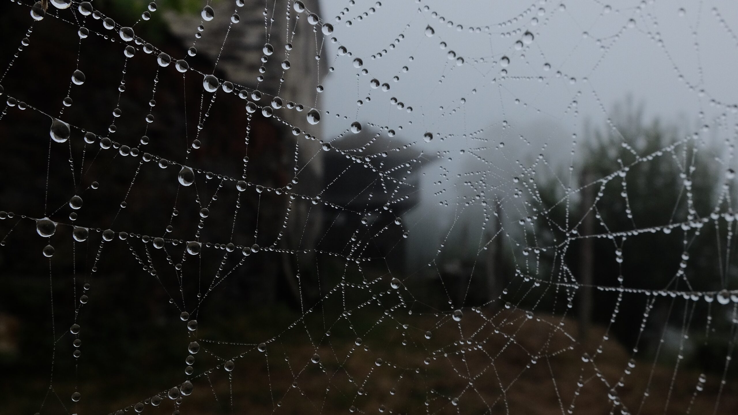 Sentences and Paragraphs out of Order? Reassembling as a Tool to ...