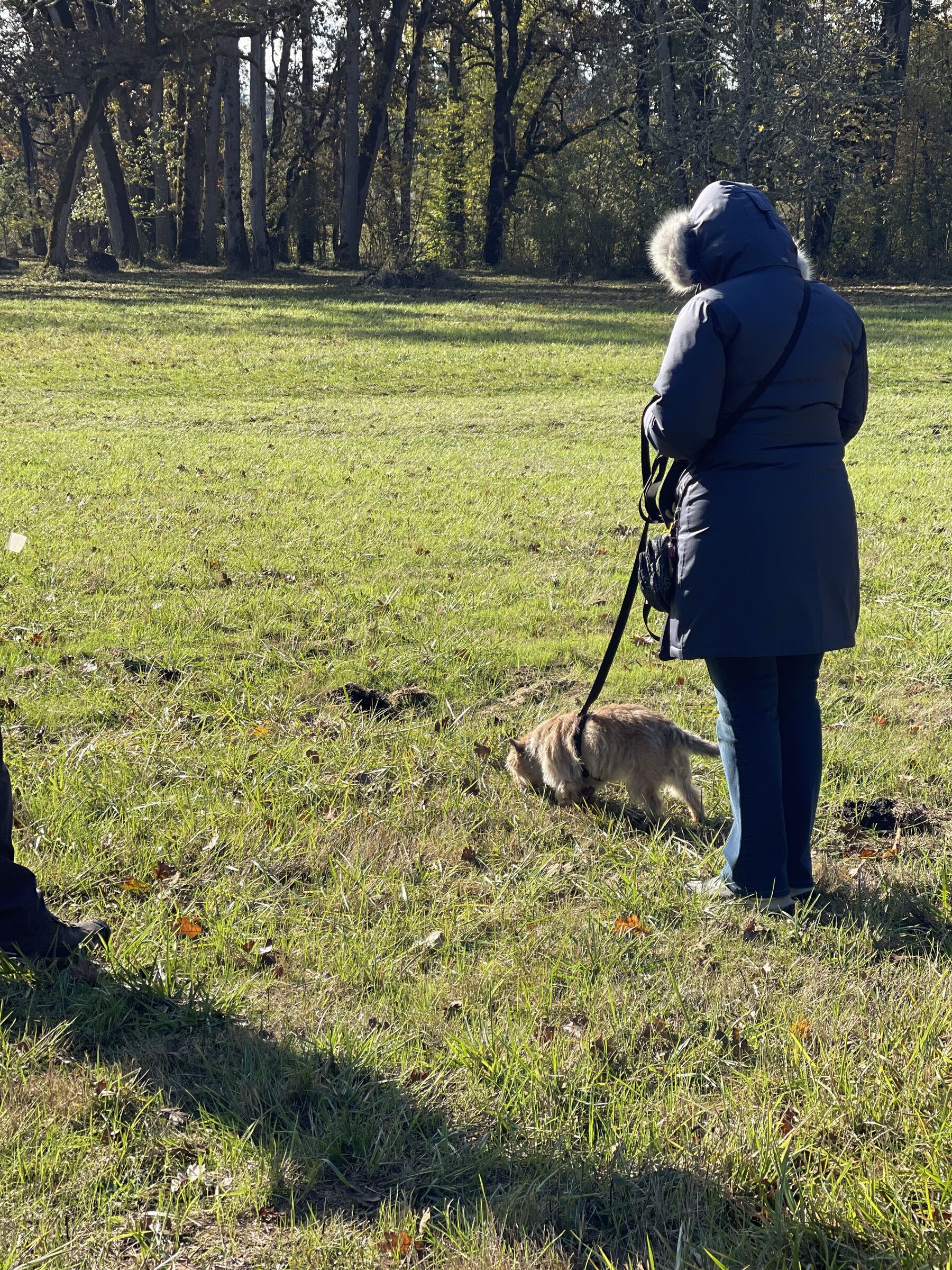 67851512-6B48-4B19-AB02-DC4758BD1CF5.jpeg - Obedience & Tracking - CRCTC