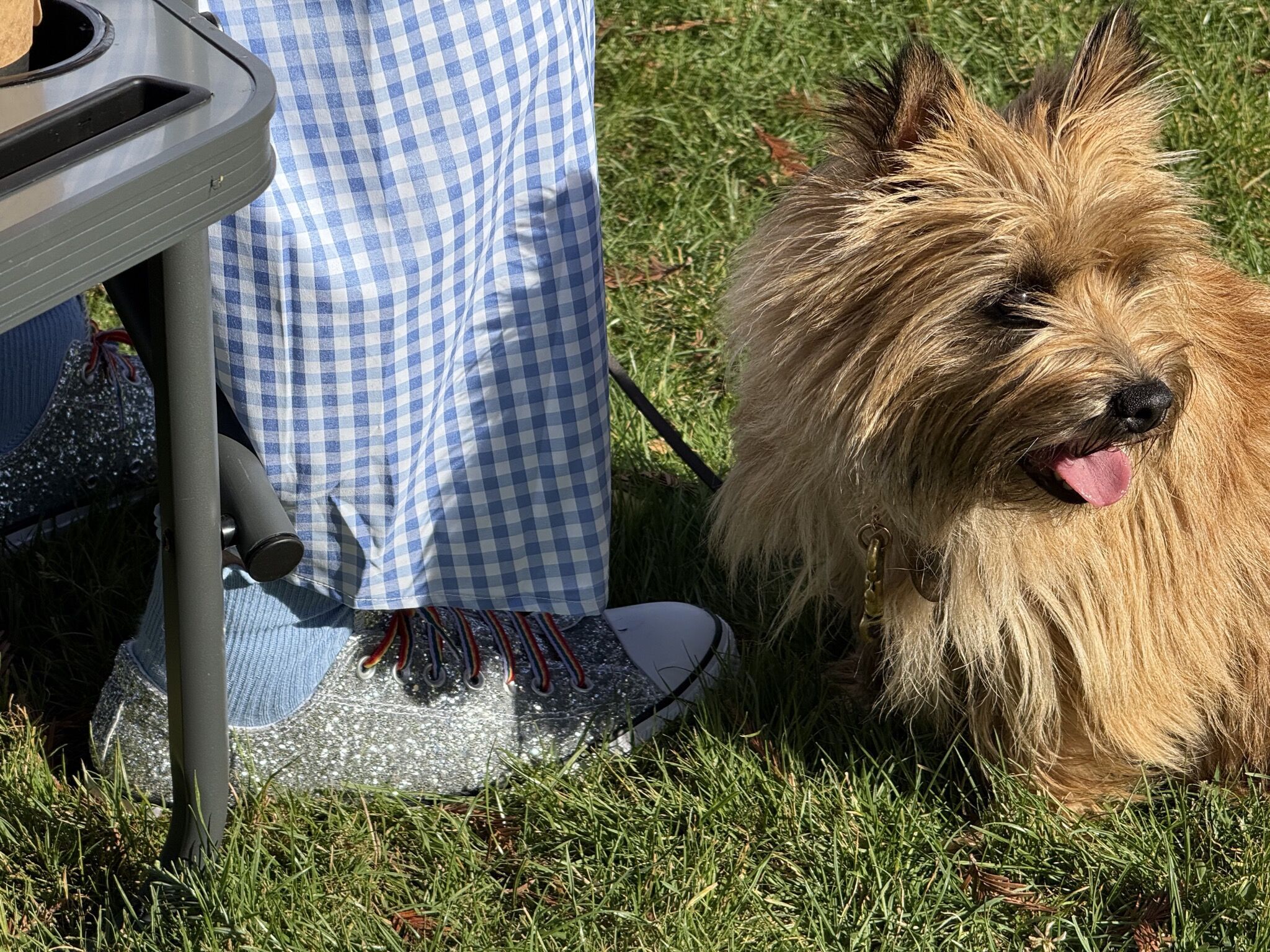 IMG_8352.jpeg - Community Events - CRCTC