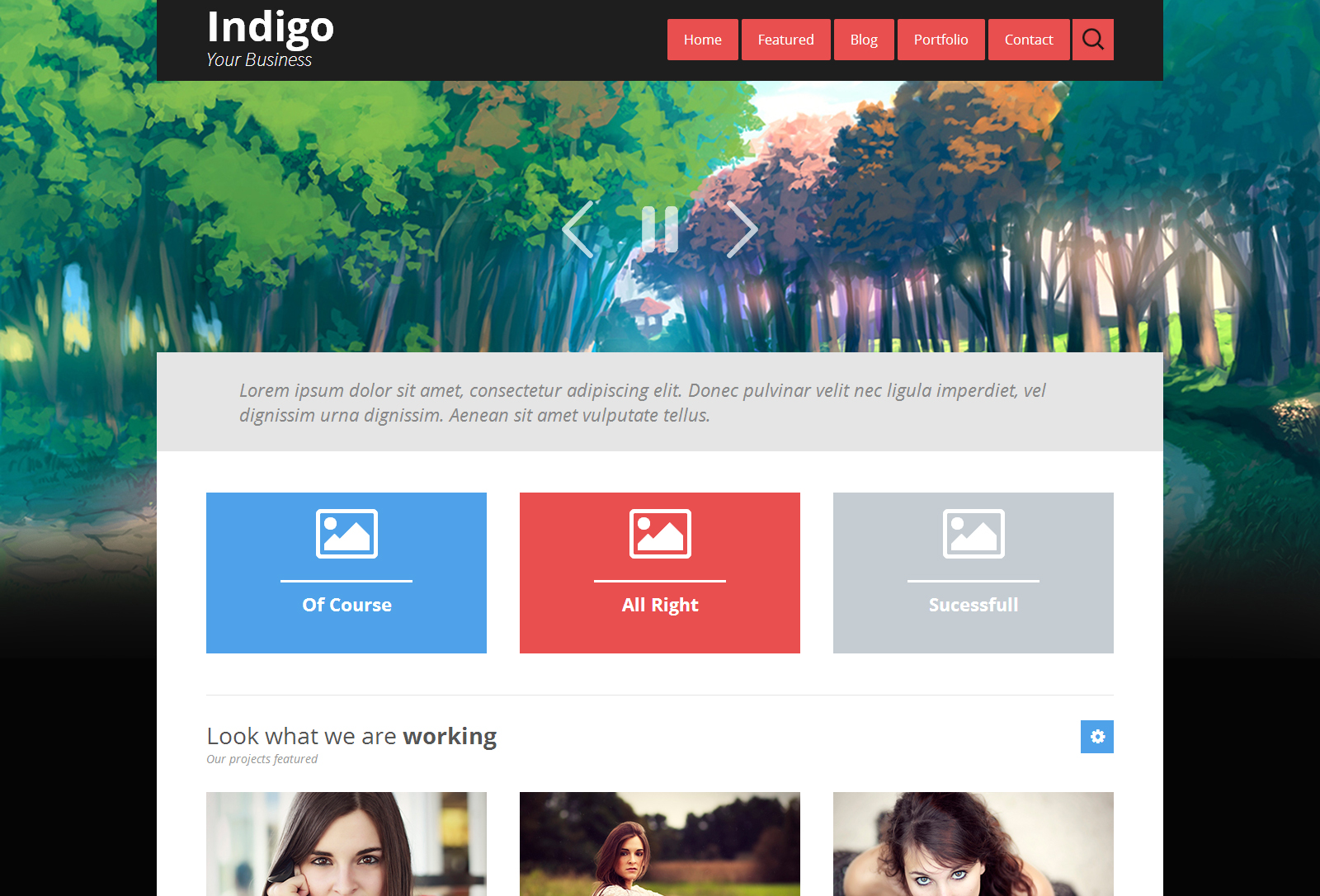 Indigo - Responsive Masonry ~ WordPress Themes on Creative Market