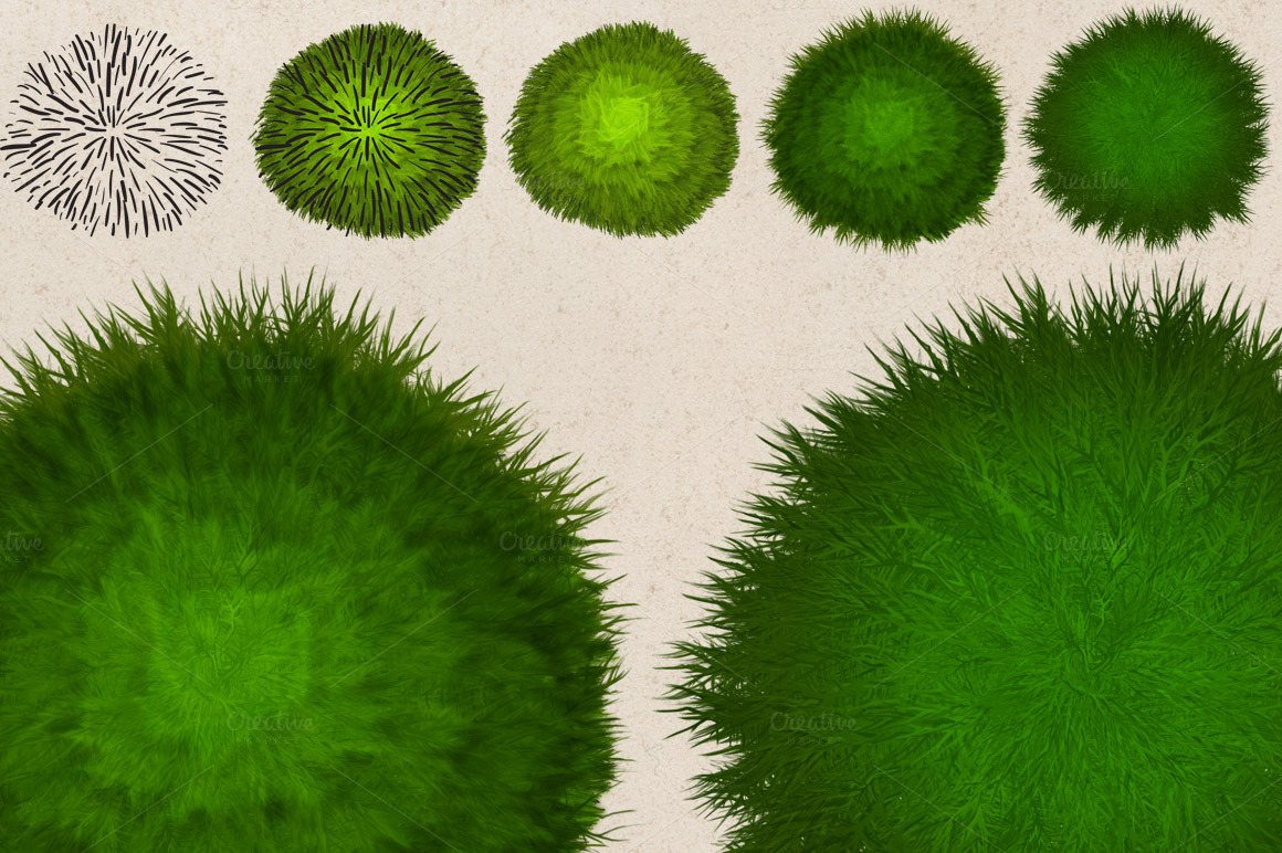 Trees in Plan View ~ Illustrations on Creative Market