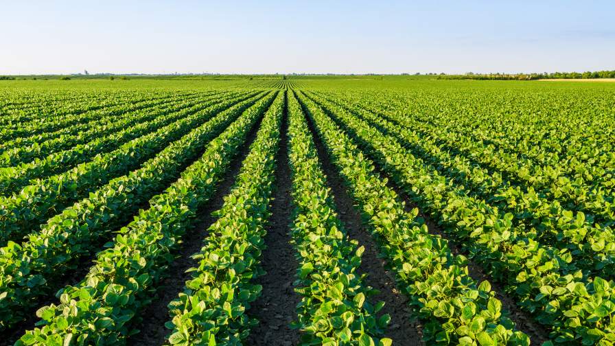 U.S. Biological Crop Protection: Growth, Gaps, and the Rise of RNAi and ...