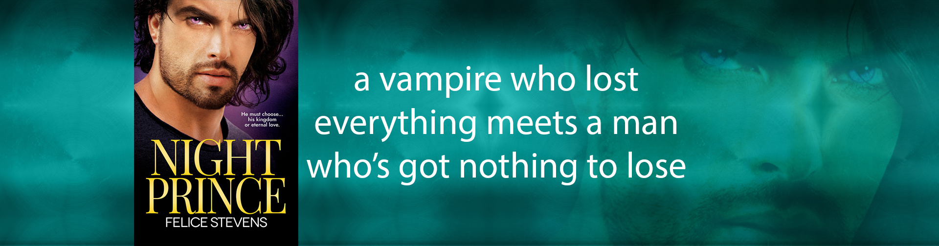 Felice Stevens - Happily Ever Afters Guaranteed!