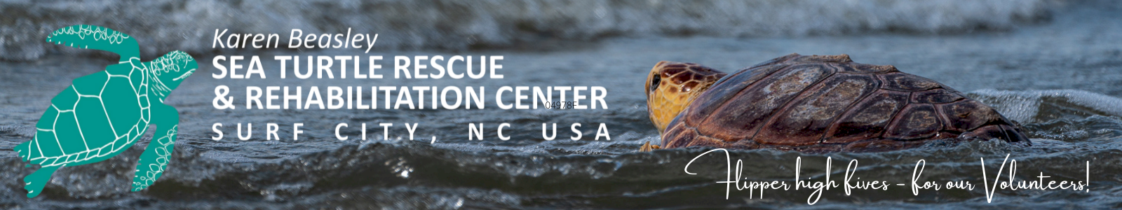 Friday Hospital Team Member | The Karen Beasley Sea Turtle Rescue and ...