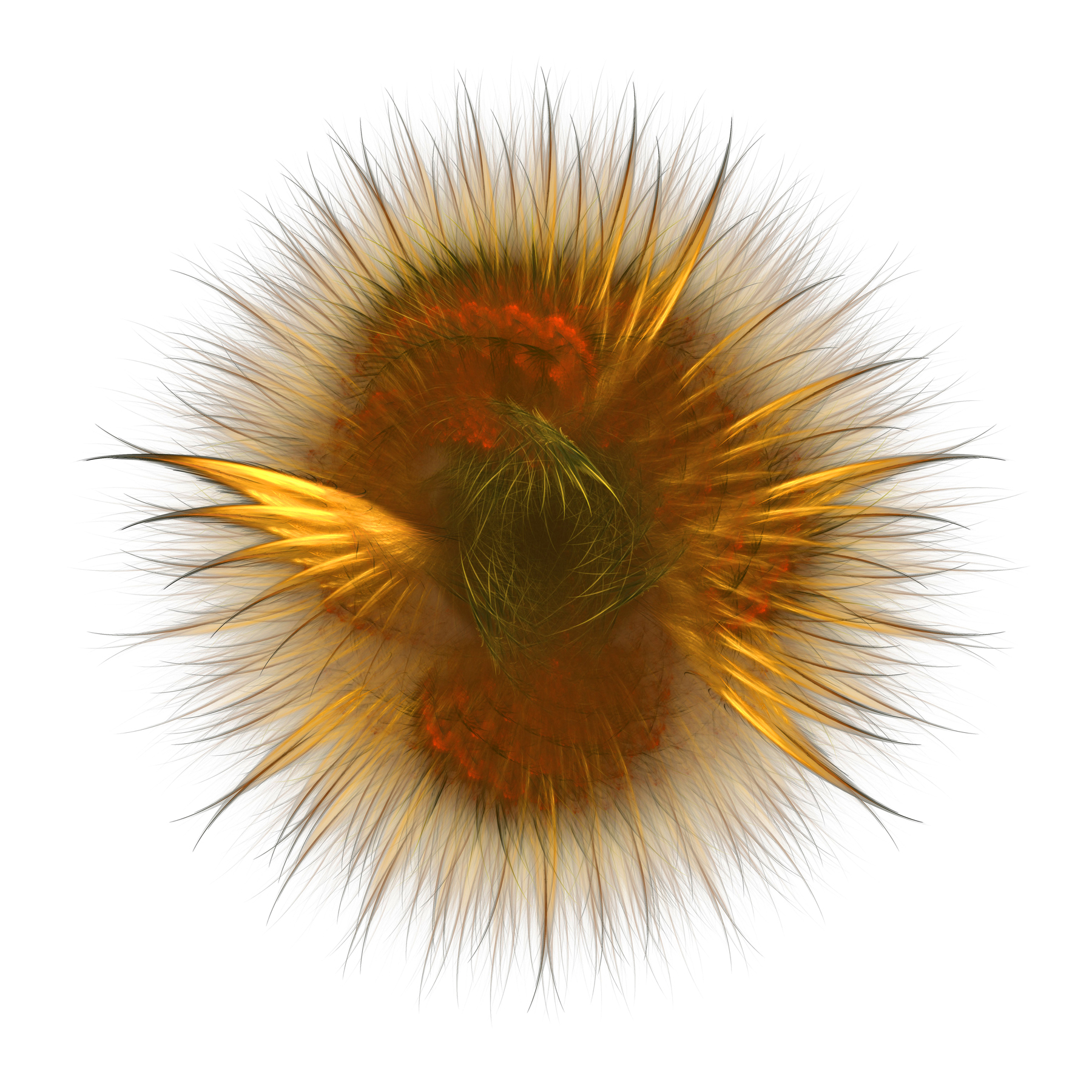 Scott Draves and the Electric Sheep | 2012 Bridges Conference